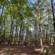 STUMPY LAKE NATURAL AREA - 237 Photos & 17 Reviews - 4794 Indian River ...