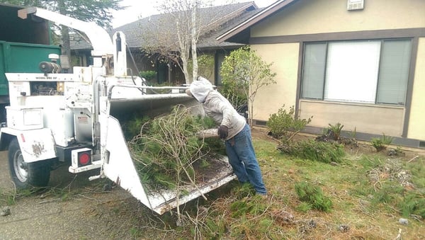 SIERRA TREE SERVICE - Updated August 2025 - 23 Photos - San Jose ...