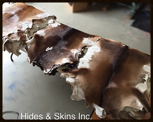 HIDES & SKINS - Updated May 2025 - 26 Photos - 3700 Fredericksburg Rd ...