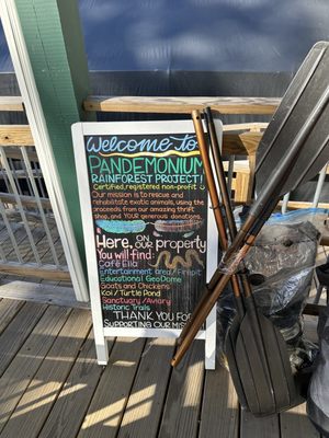 THRIFT SHOP-PANDEMONIUM RAINFOREST PROJECT - Updated July 2024 - 39 ...