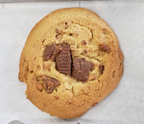 JAVA GAME HAUS CAFE - 65 Photos & 34 Reviews - Coffee & Tea - 11018 Old Saint Augustine Rd ...