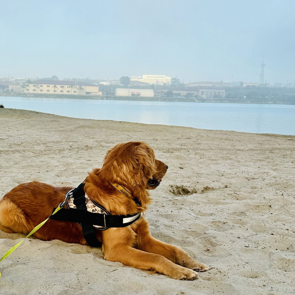 DEL MAR BEACH RESORT AT CAMP PENDLETON - Updated July 2025 - 446 Photos ...