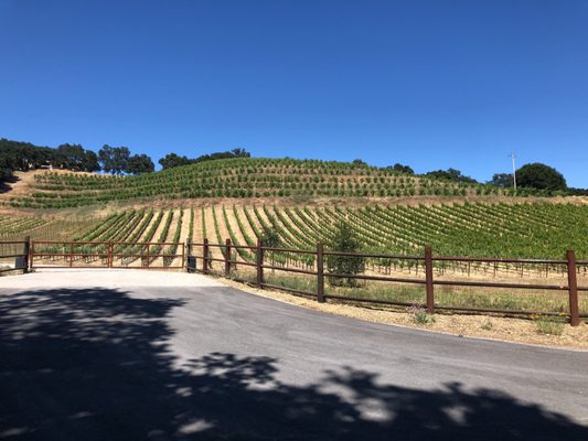 SAXUM VINEYARDS - Updated January 2026 - 12 Reviews - 2800 Willow Creek ...