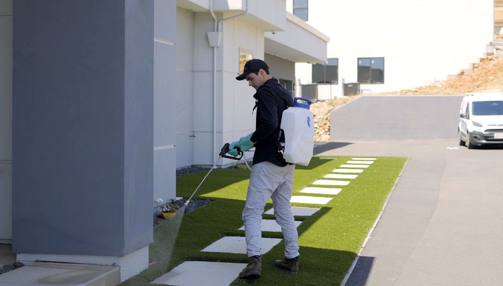 MASTER PEST CONTROL - Updated December 2025 - 15 Photos & 28 Reviews ...