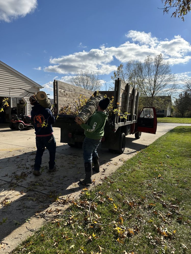 MARZKA TREE SERVICE - Updated December 2025 - 20 Photos - Cambridge ...