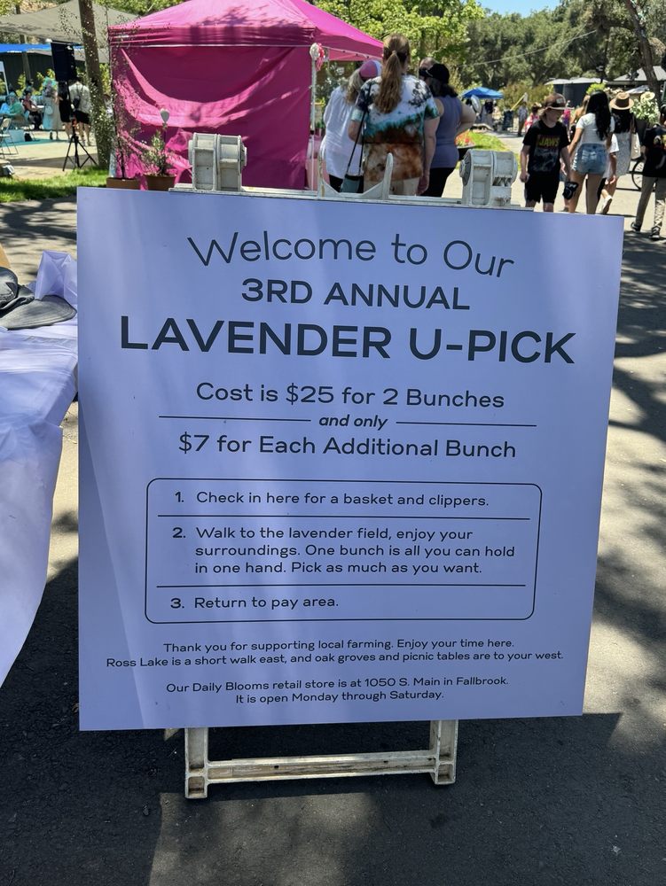 DAILY BLOOMS LAVENDER FARM - Updated October 2025 - 29 Photos - 40055 ...