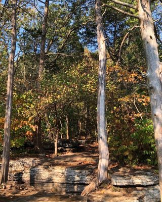 RAVEN RUN NATURE SANCTUARY - 288 Photos & 43 Reviews - 3990 Raven Run ...