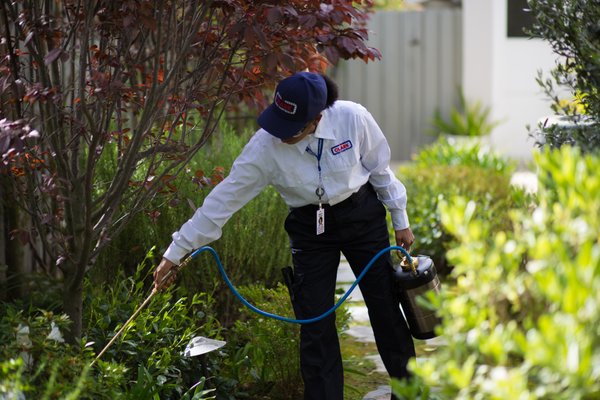 Pest Control Concord Ca