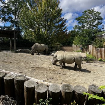 ERIE ZOO - Updated June 2026 - 186 Photos & 69 Reviews - 423 W 38th St ...