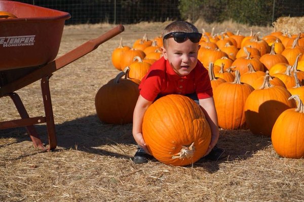 FOWLER RANCH - Updated August 2024 - 15 Photos & 12 Reviews - 3111 ...