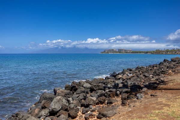 WAHIKULI PARK - TEMP. CLOSED - Updated May 2025 - 143 Photos & 19 ...