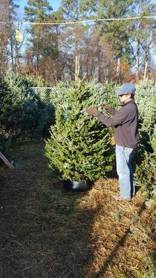 HUGHES ROAD TREE FARM - Updated December 2025 - 4197 Centerville Rd ...