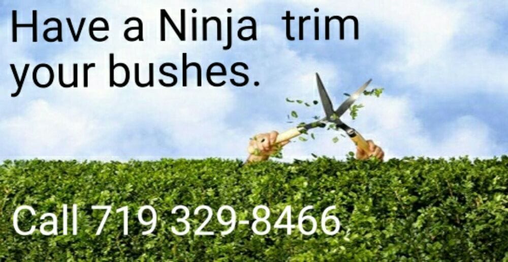 GRASS NINJA LAWN SERVICE - Updated August 2025 - 17 Photos - 3945 N ...