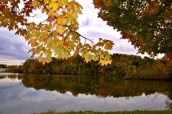 HINES PARK - Updated August 2024 - 30 Photos & 24 Reviews - Westland ...