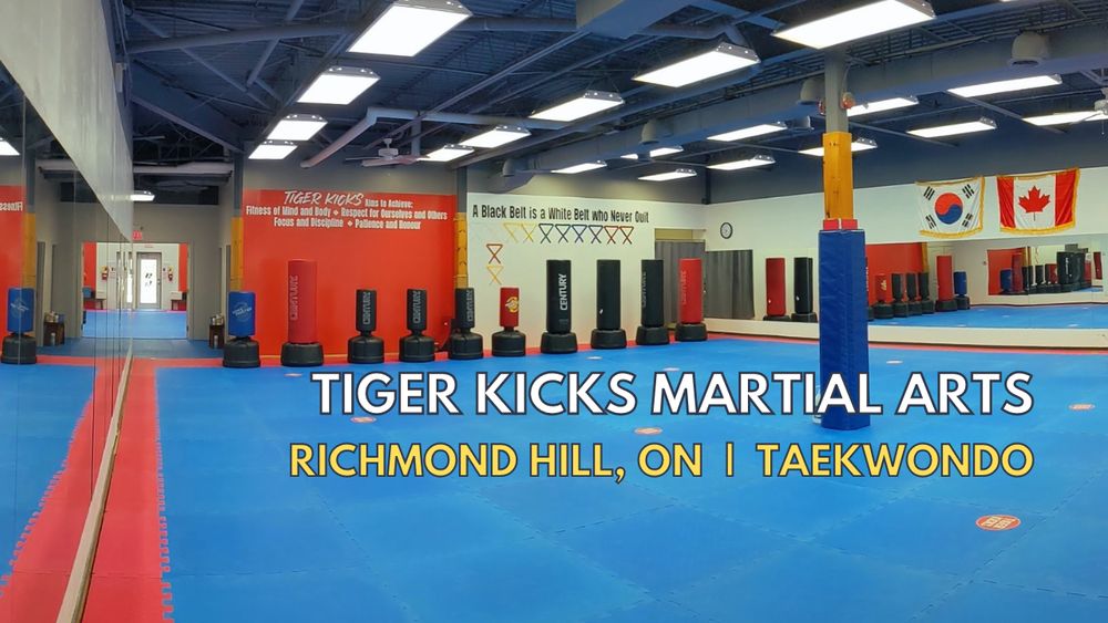 TIGER KICKS MARTIAL ARTS - Updated February 2025 - 10815 Bathurst ...