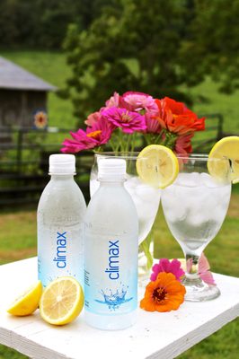 CLIMAX SPRING WATER - Updated October 2025 - 18 Photos - 6311 Climax Rd ...