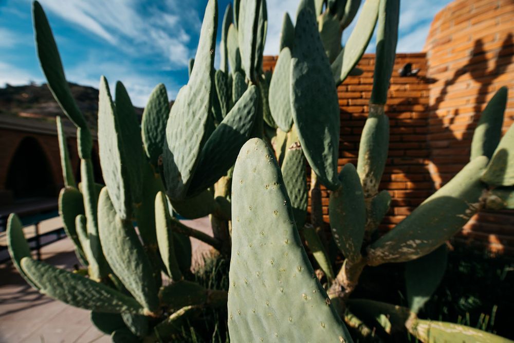 VICKERS LANDSCAPE - Updated December 2025 - 33 Photos - 7904 E ...