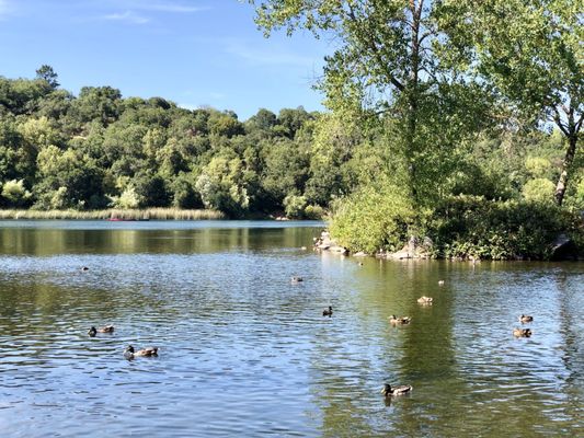 HOWARTH PARK - Updated June 2024 - 282 Photos & 134 Reviews - 630 ...