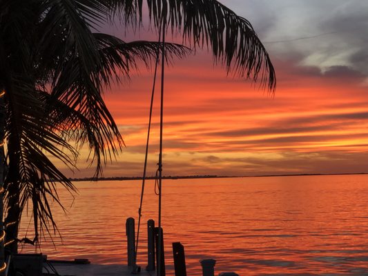 CALUSA CAMPGROUND RESORT MARINA - Updated August 2024 - 33 Photos & 20 ...