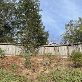 NEW LIFE TREE SERVICE - Updated December 2025 - 95 Photos & 119 Reviews ...