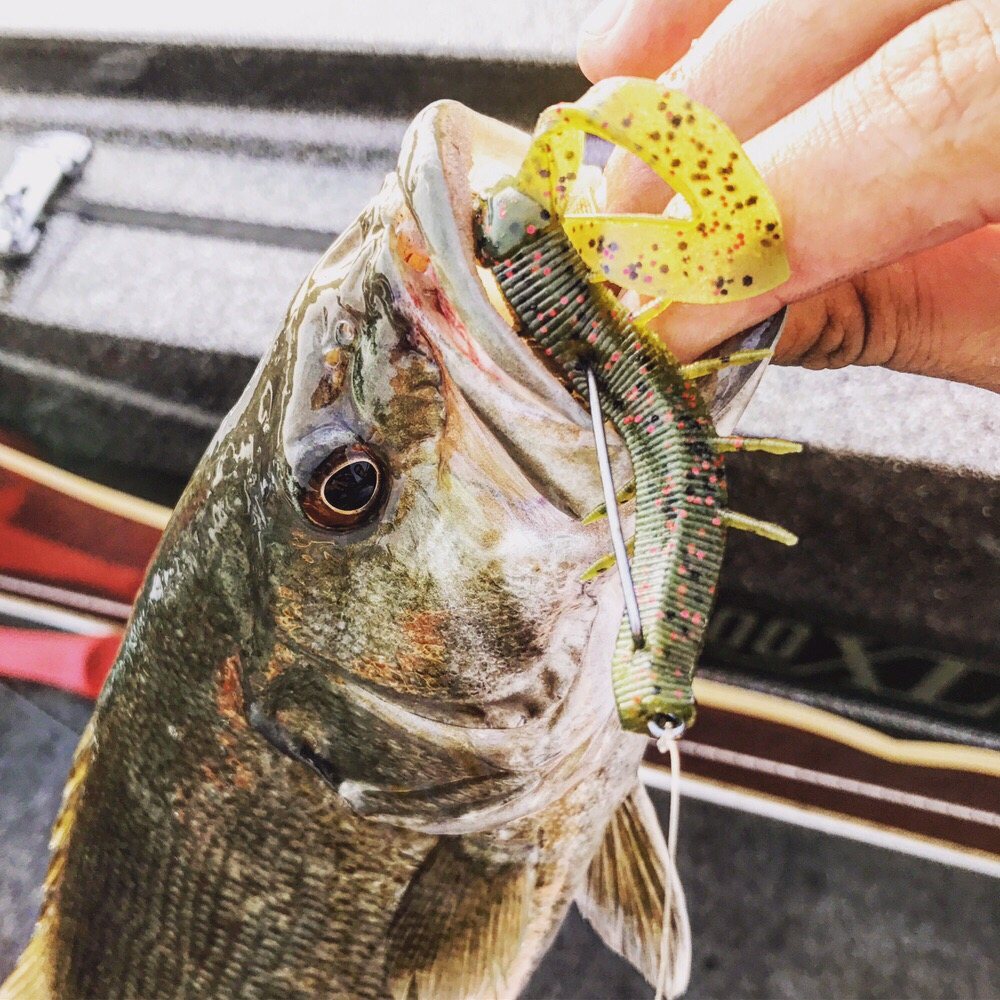 DOOMSDAY TACKLE - Updated May 2024 - 25 Pruden St, Chatham, Virginia ...