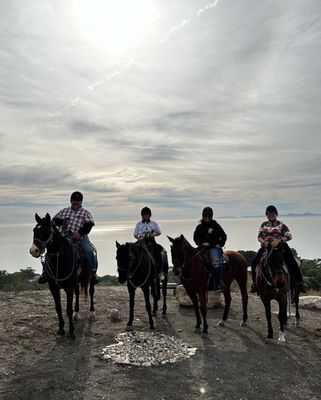 OCEANVIEW PERFORMANCE HORSES - Updated January 2026 - 40 Photos - 40 ...