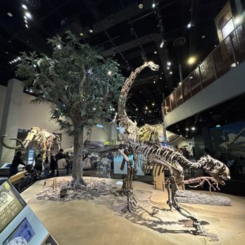 PEROT MUSEUM OF NATURE AND SCIENCE - Updated October 2025 - 2529 Photos ...