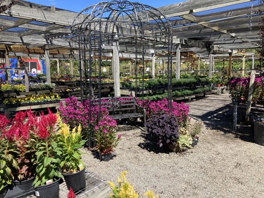 THE GREAT BIG GREENHOUSE & NURSERY - Updated December 2024 - 60 Photos & 67 Reviews - 2051 ...