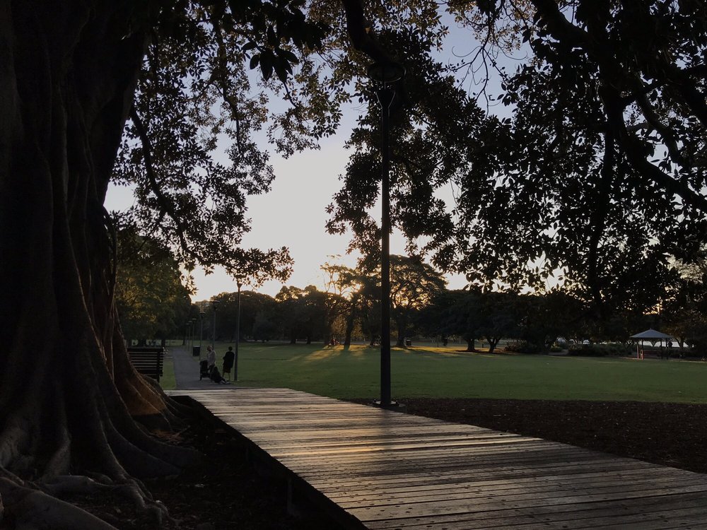 JUBILEE PARK - 12 Photos - Federal Road, Glebe New South Wales ...