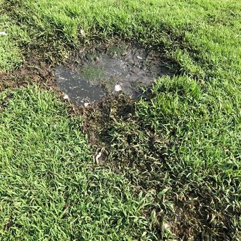 Diamond Oaks Municipal Golf Course - Book A Tee Time - 41 Photos & 42 ...