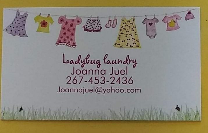 LADYBUG LAUNDRY - Request a Quote - Willow Grove, Pennsylvania ...