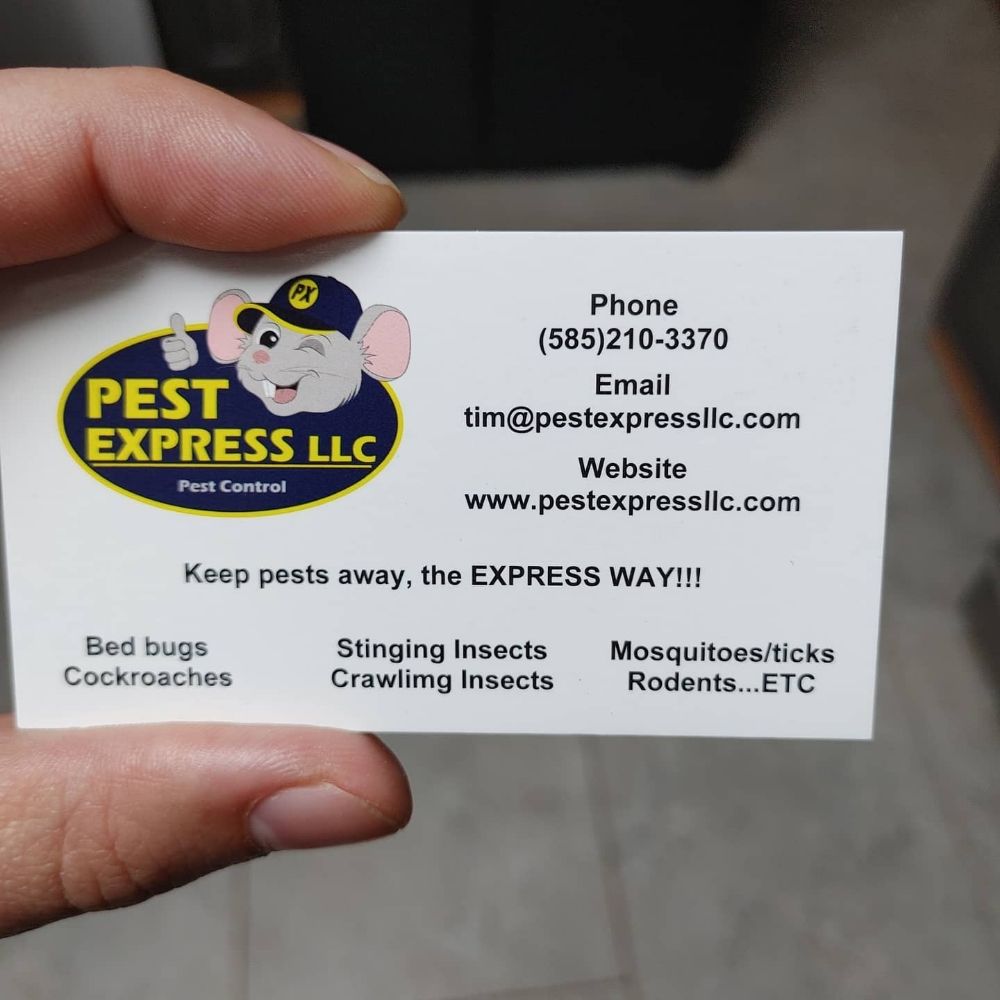 PEST EXPRESS - Updated October 2025 - 33 Photos - Rochester, New York ...