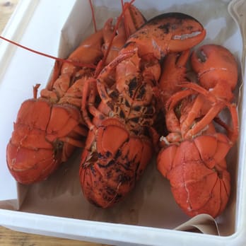 RYER’S LOBSTERS - Updated December 2025 - 57 Photos & 35 Reviews - 8494 ...