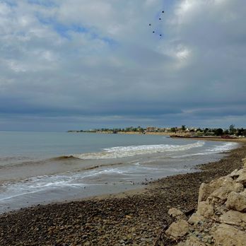 GOLETA BEACH PARK - Updated September 2025 - 293 Photos & 87 Reviews ...