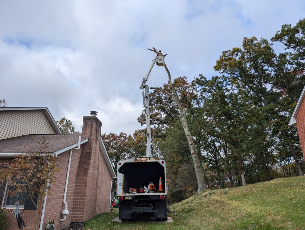 HUTSKO TREE SERVICE - Updated October 2025 - Export, Pennsylvania ...