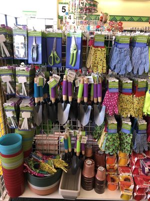 DOLLAR TREE - Updated January 2026 - 18 Photos - 403 S Jefferson St ...