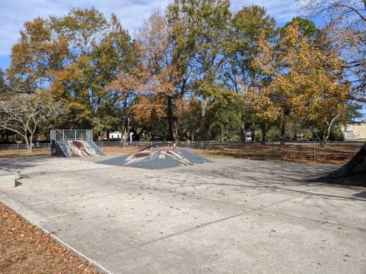 ACKERMAN PARK SKATEPARK - Updated August 2025 - 20 Photos - 55 Sycamore ...