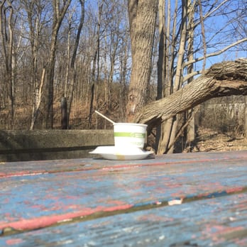 SKILES TEST NATURE PARK - Updated January 2026 - 32 Photos & 10 Reviews ...