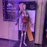 SCI-TECH DISCOVERY CENTER - 125 Photos & 37 Reviews - Museums - 8004 N ...