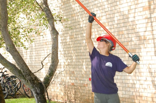 RAINBOW TREECARE - Updated December 2025 - 17 Photos & 35 Reviews ...