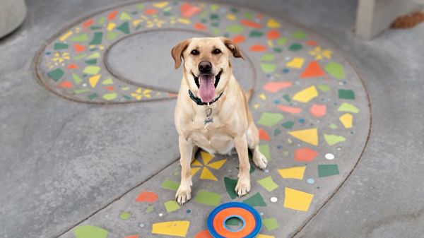 PECCOLE RANCH WALKING TRAIL - 220 Photos & 51 Reviews - 2000 S Hualapai ...