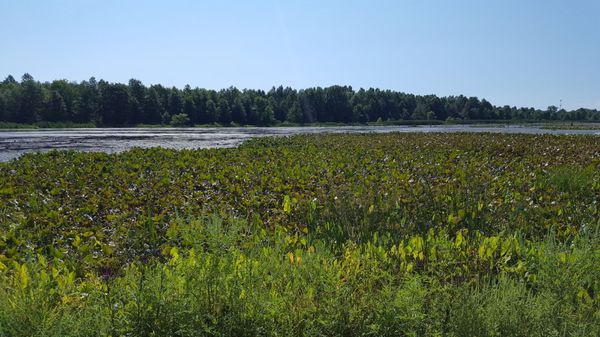 SANDY RIDGE RESERVATION - Updated August 2024 - 19 Photos - 6195 Otten ...