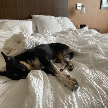 FOUR POINTS BY SHERATON MONCTON - Updated December 2025 - 25 Photos ...