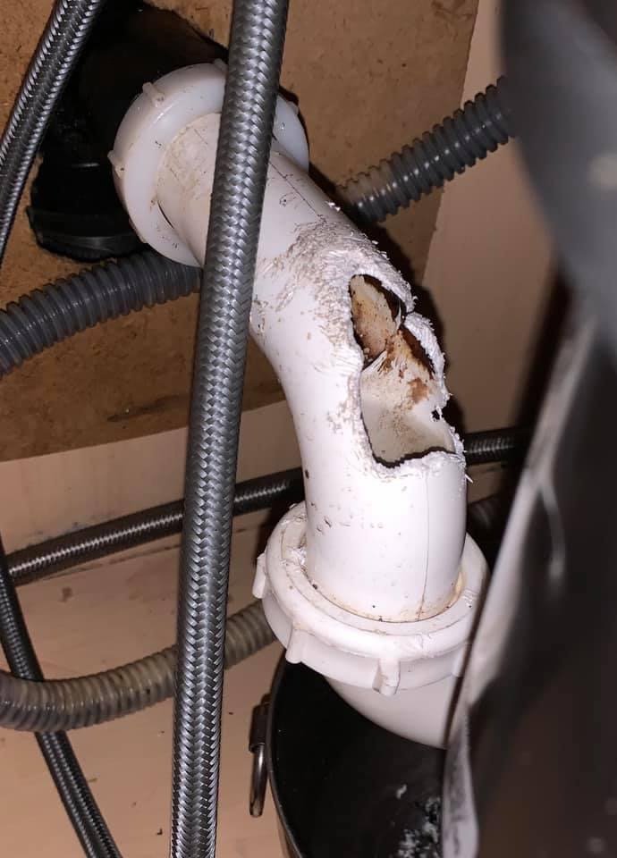 VERMIN X PEST CONTROL - Updated January 2026 - 39 Photos & 32 Reviews ...