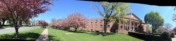 MOTOR VEHICLE DEPARTMENT - Updated October 2025 - 23 Photos & 87 ...