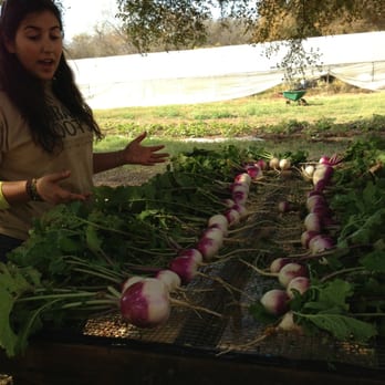 URBAN ROOTS FARM - Updated August 2025 - 67 Photos - 7651 Delwau Ln ...