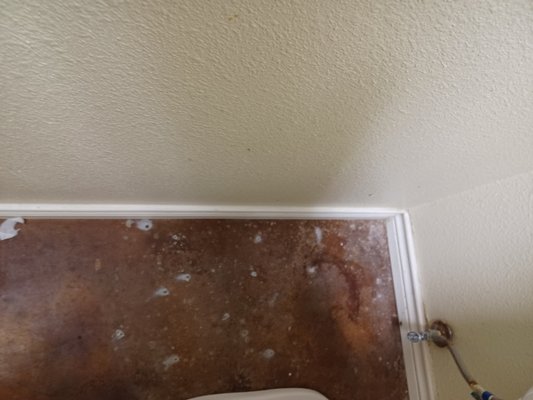 AGGIELAND RV PARK - Updated November 2025 - 10 Photos & 15 Reviews ...