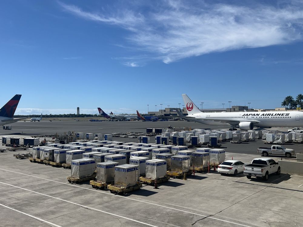 WIKI WIKI SHUTTLE - Updated January 2025 - 300 Rodgers Blvd, Honolulu ...