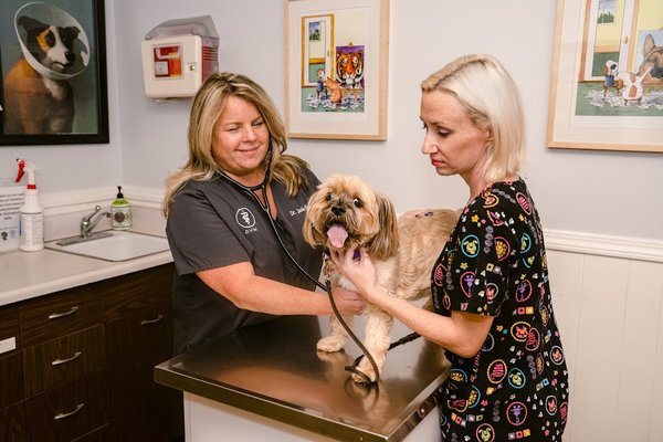 SPRING VALLEY VETERINARY CLINIC - Updated October 2025 - 13 Photos & 35 ...