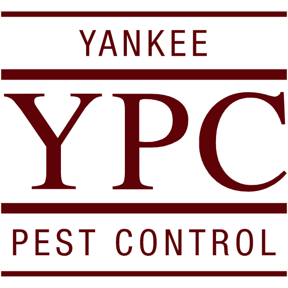 YANKEE PEST CONTROL - Updated July 2025 - 27 Photos & 37 Reviews - 20 ...